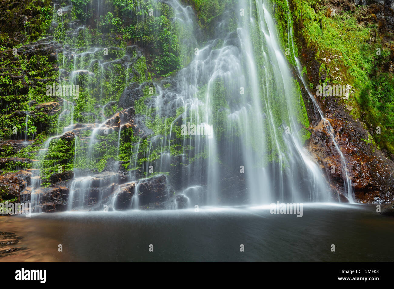 San so ho kommune -Fotos und -Bildmaterial in hoher Auflösung – Alamy