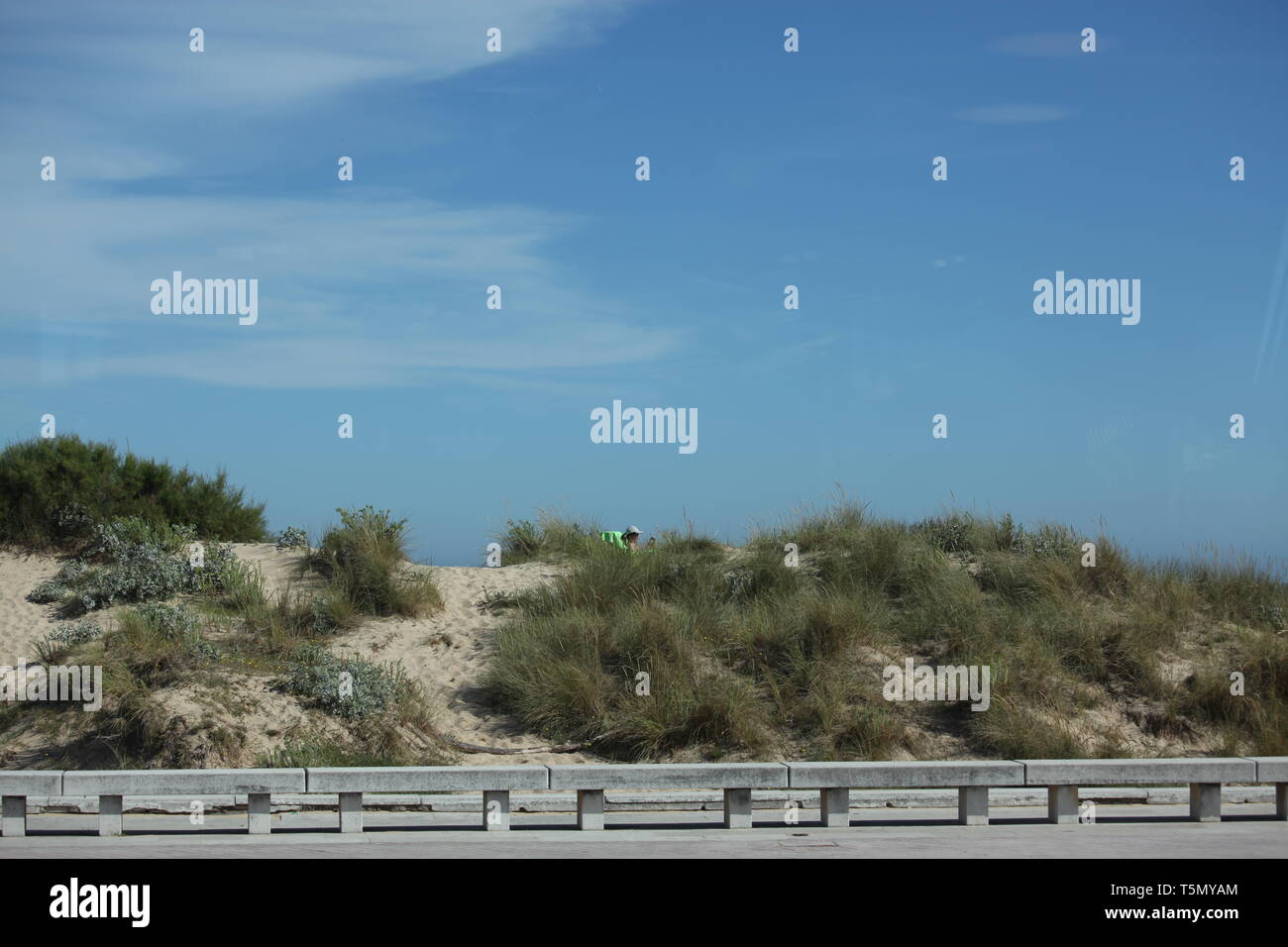 Versteckte person -Fotos und -Bildmaterial in hoher Auflösung – Alamy