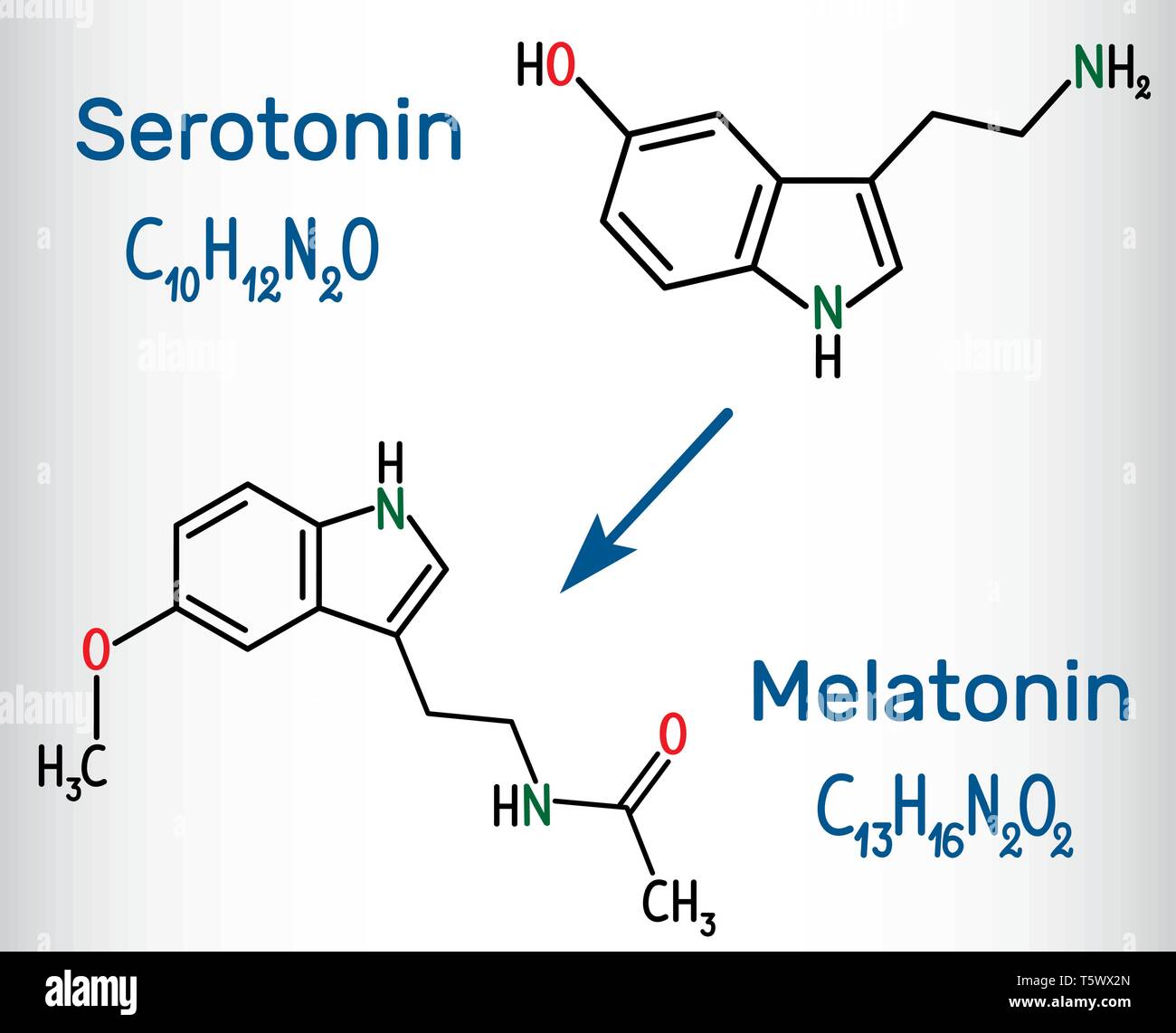 Melatonin formel Stock-Vektorgrafiken kaufen - Alamy