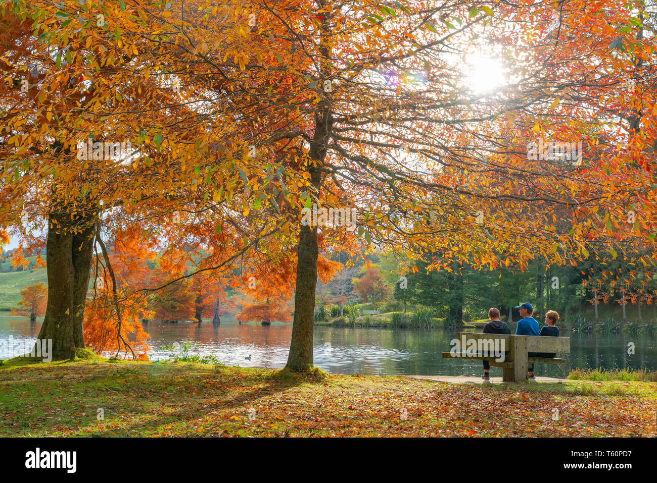 Menschen Auf Der Bank Stockfotos und -bilder Kaufen - Alamy