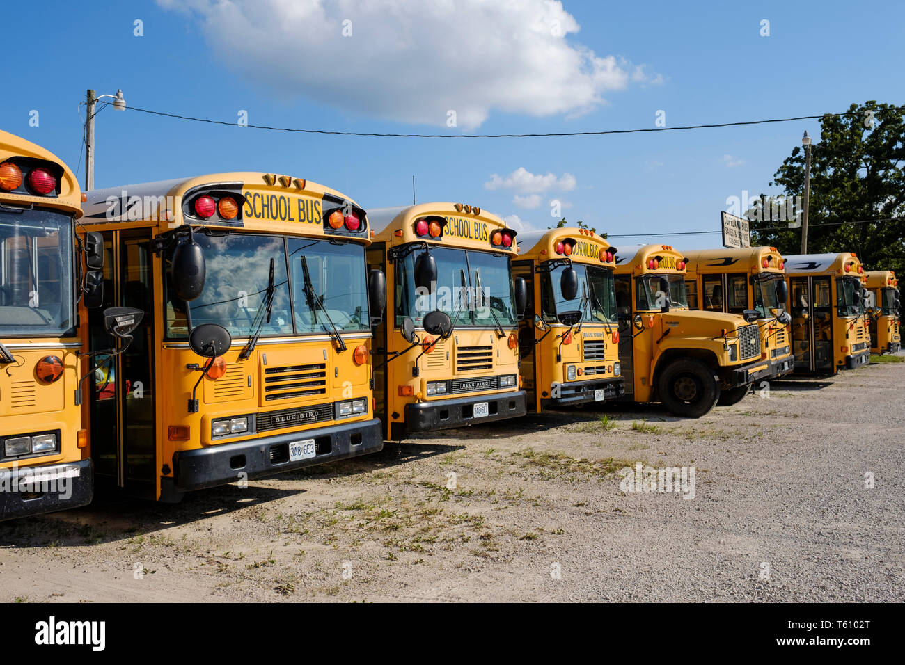 Amerikanische schulbusse -Fotos und -Bildmaterial in hoher Auflösung ...