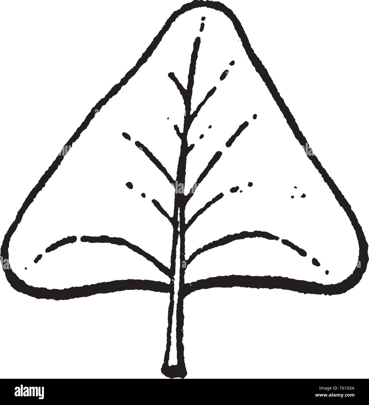 Griechischer buchstabe delta Stock-Vektorgrafiken kaufen - Alamy