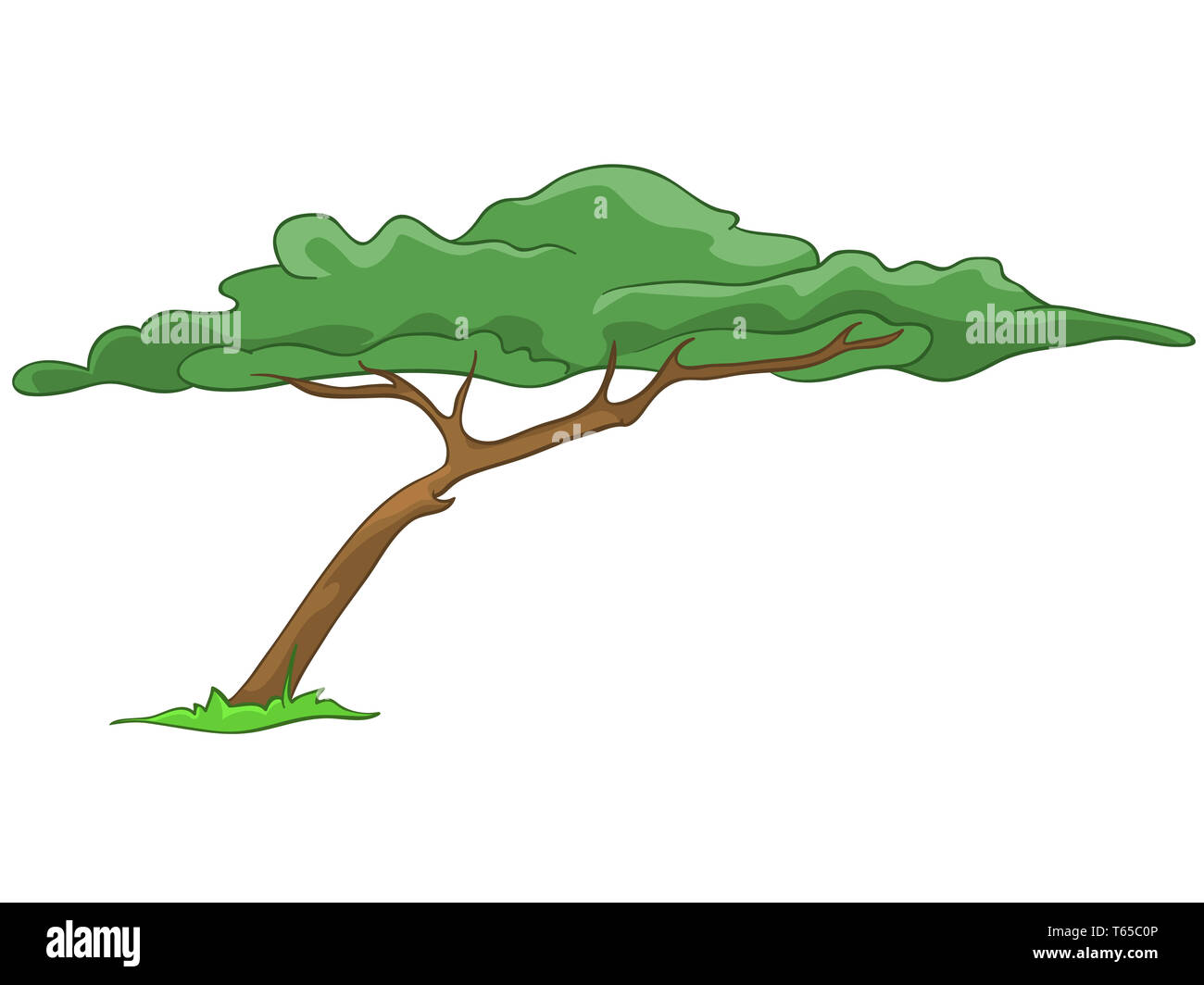 Cartoon baum -Fotos und -Bildmaterial in hoher Auflösung – Alamy