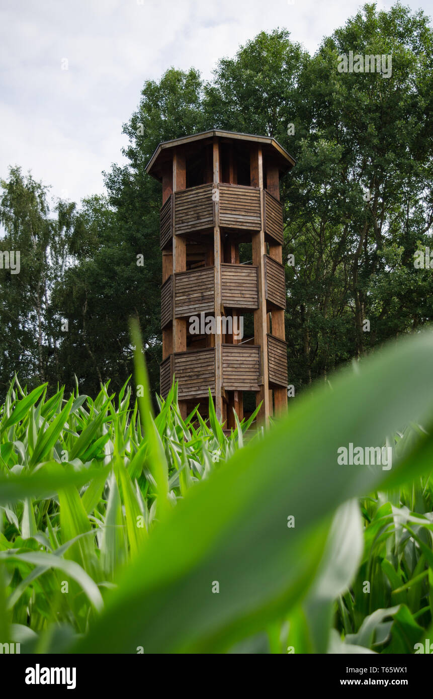 Holz verwischen -Fotos und -Bildmaterial in hoher Auflösung - Seite 9 ...