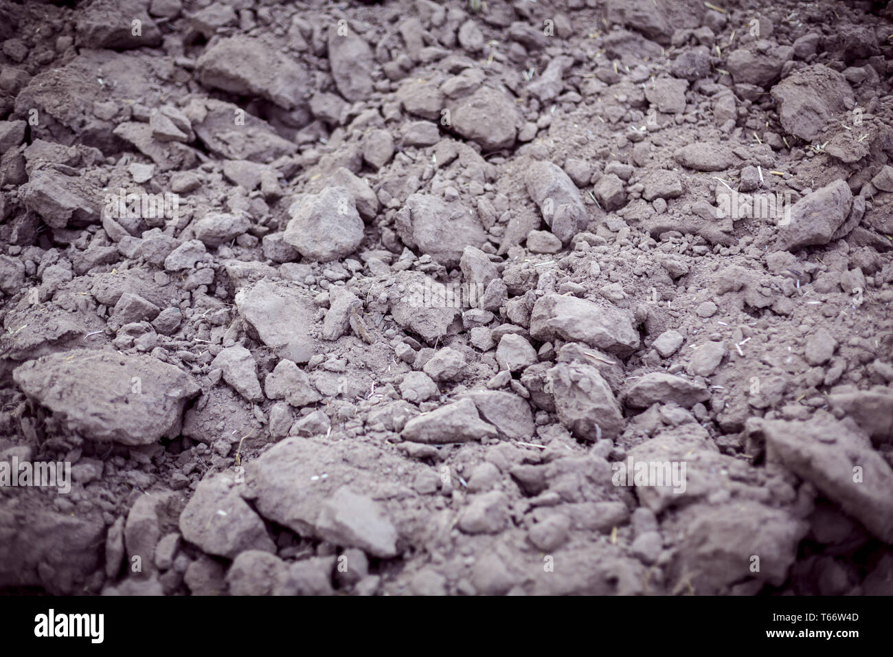 Humus erde -Fotos und -Bildmaterial in hoher Auflösung – Alamy