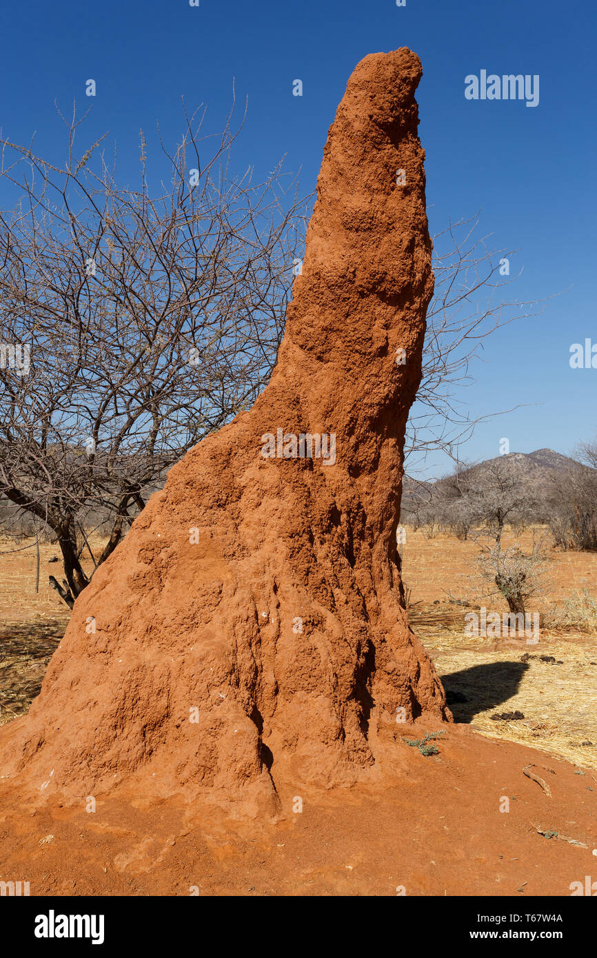 Termite mound in namibia -Fotos und -Bildmaterial in hoher Auflösung ...