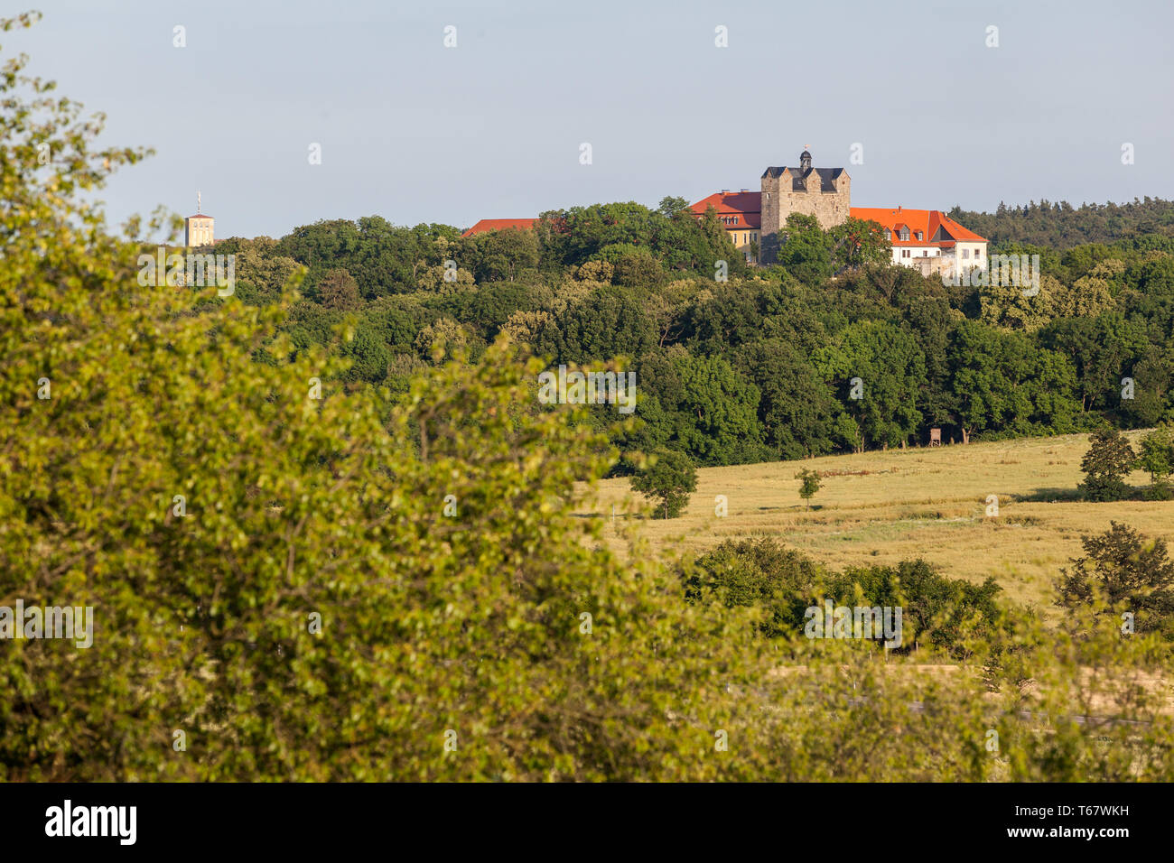 Ballenstedt castle harz park -Fotos und -Bildmaterial in hoher ...