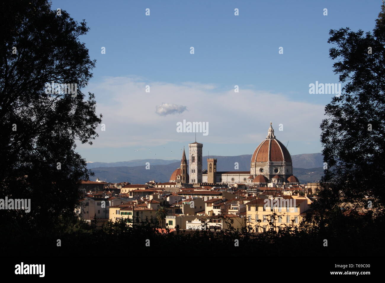 Blick auf die kathedrale santa maria -Fotos und -Bildmaterial in hoher ...