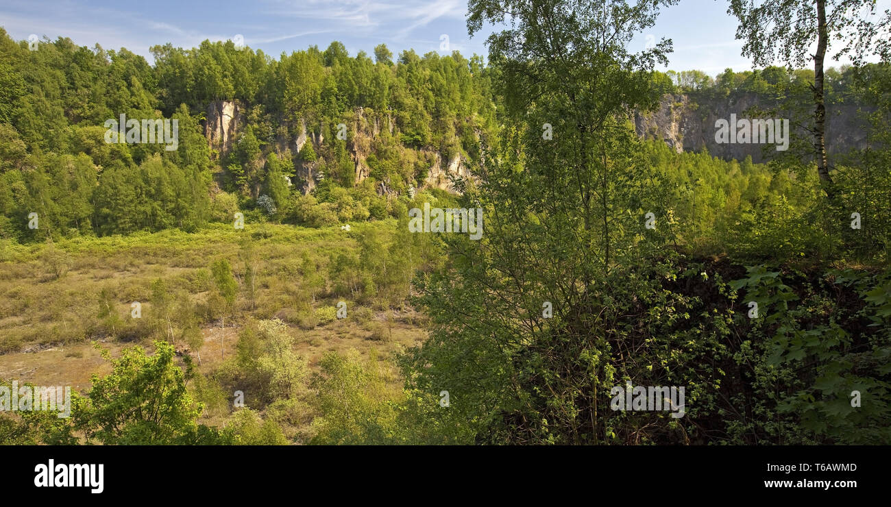 Der ehemalige Steinbruch der Bochumer Bruch, Wülfrath, Bergisches Land ...