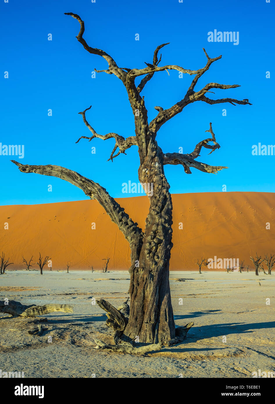 Schatten des abends -Fotos und -Bildmaterial in hoher Auflösung – Alamy