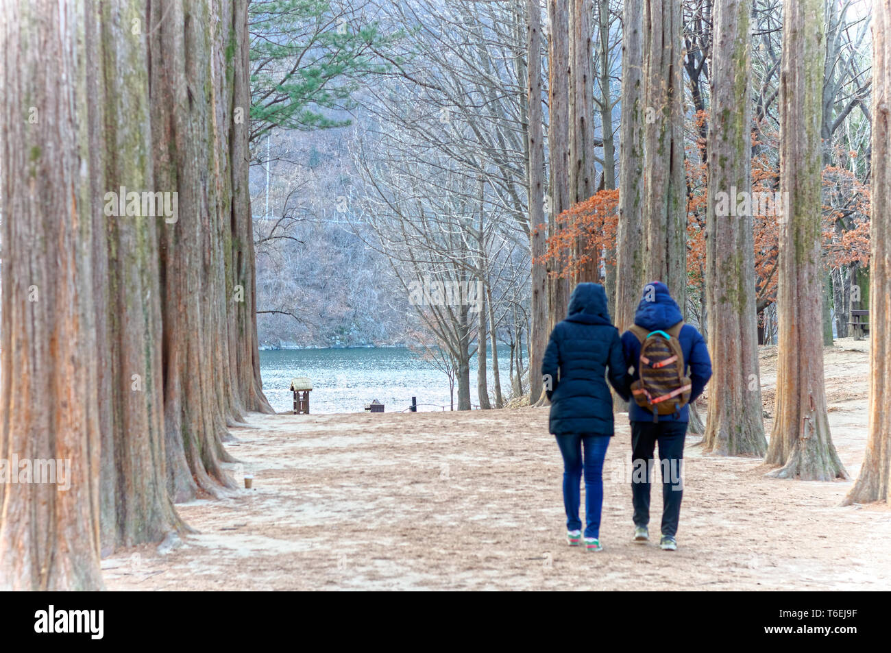 Baum an den seiten -Fotos und -Bildmaterial in hoher Auflösung – Alamy