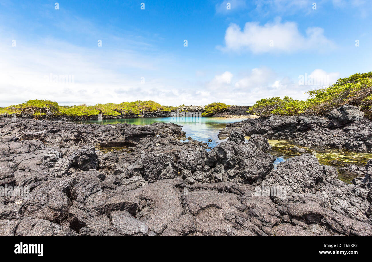 Vulkaninseln von galapagos -Fotos und -Bildmaterial in hoher Auflösung ...