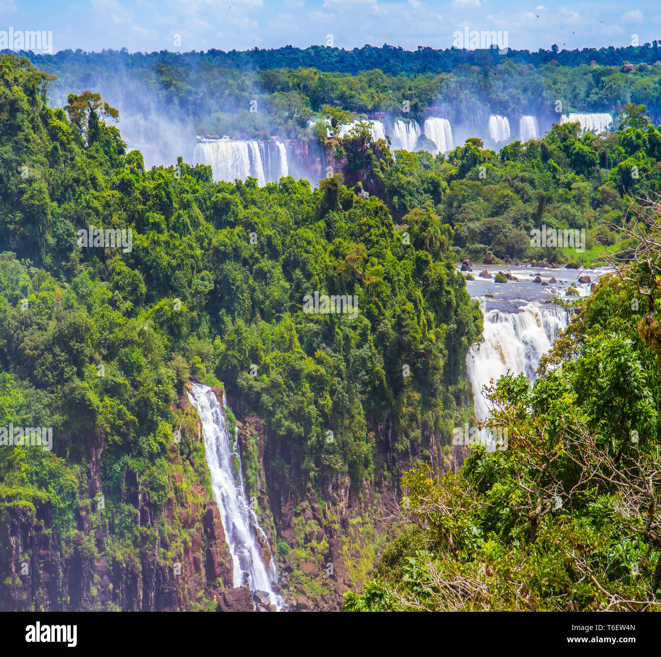 Patagonischer urwald -Fotos und -Bildmaterial in hoher Auflösung – Alamy