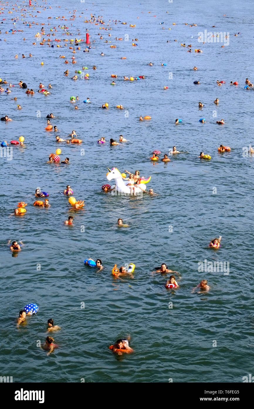 Rheinschwimmen basel -Fotos und -Bildmaterial in hoher Auflösung – Alamy
