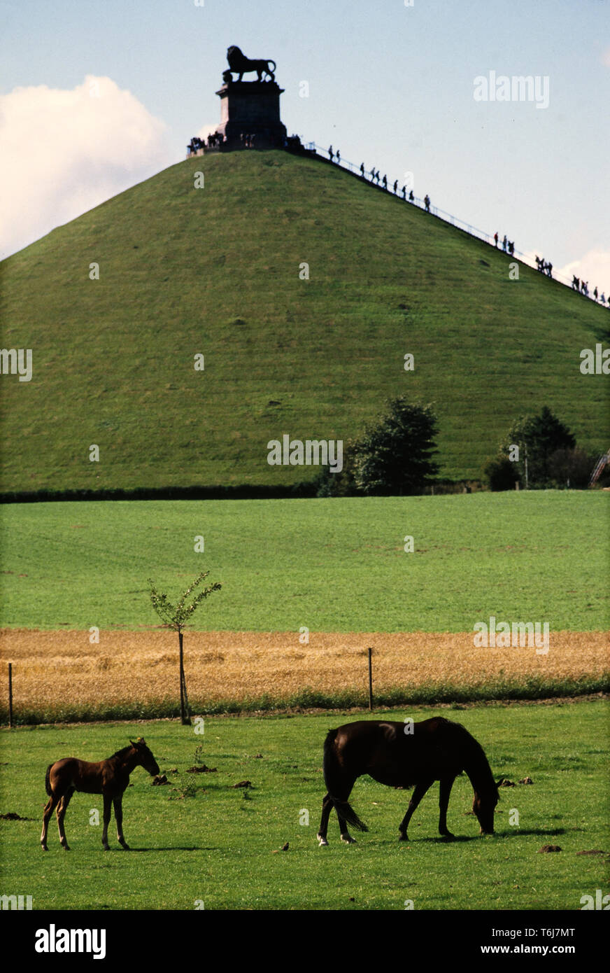 Schlachtfeld von waterloo -Fotos und -Bildmaterial in hoher Auflösung ...