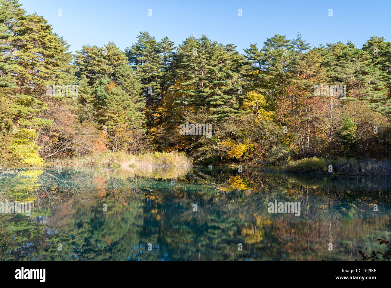 Goshiki numa -Fotos und -Bildmaterial in hoher Auflösung – Alamy