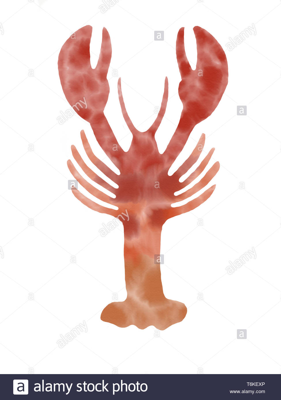 Hummer Malen Stockfotos und -bilder Kaufen - Alamy