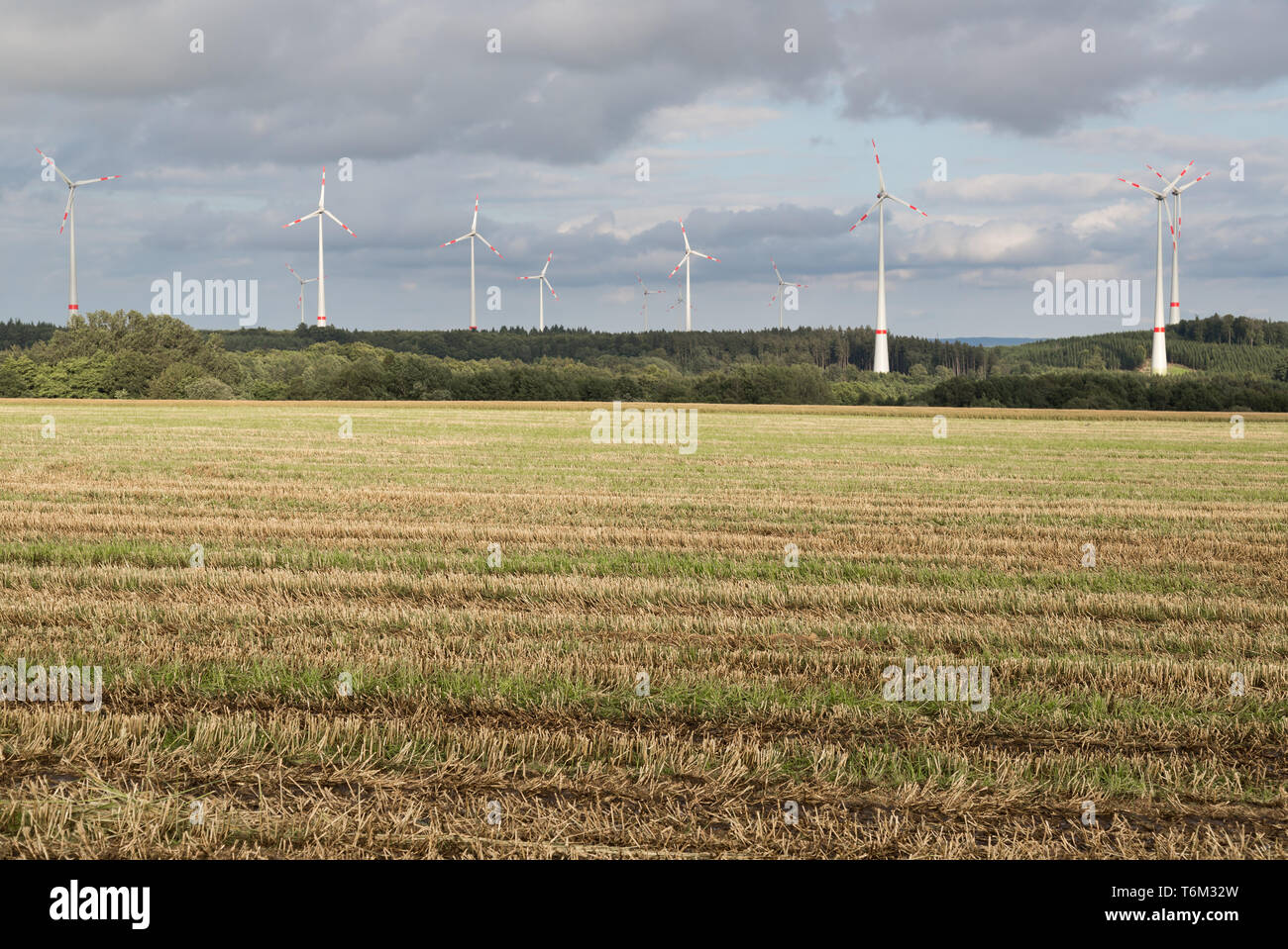 Sonnenwind landwirtschaft -Fotos und -Bildmaterial in hoher Auflösung – Alamy