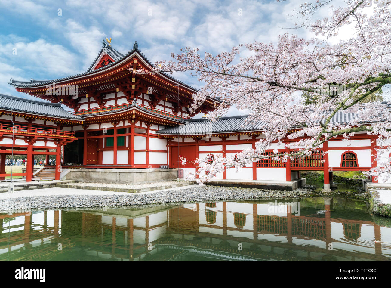 Japan kirsch tempel -Fotos und -Bildmaterial in hoher Auflösung – Alamy