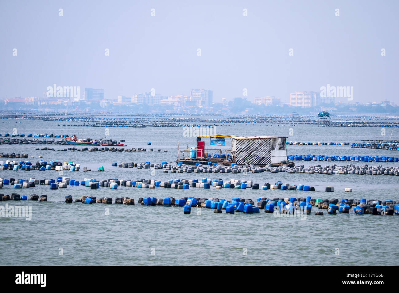 Die Muscheln sind aus Kunststoff Eimer gemacht und mit Seilen unter dem ...