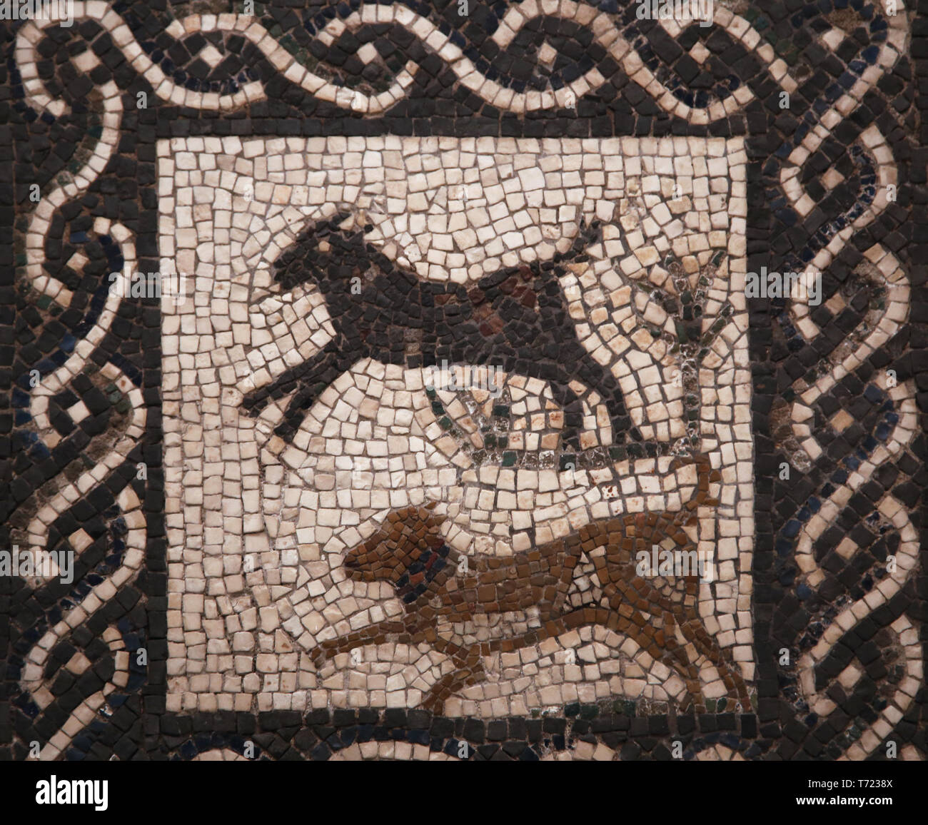 Mosaic art animal -Fotos und -Bildmaterial in hoher Auflösung - Seite 2 ...