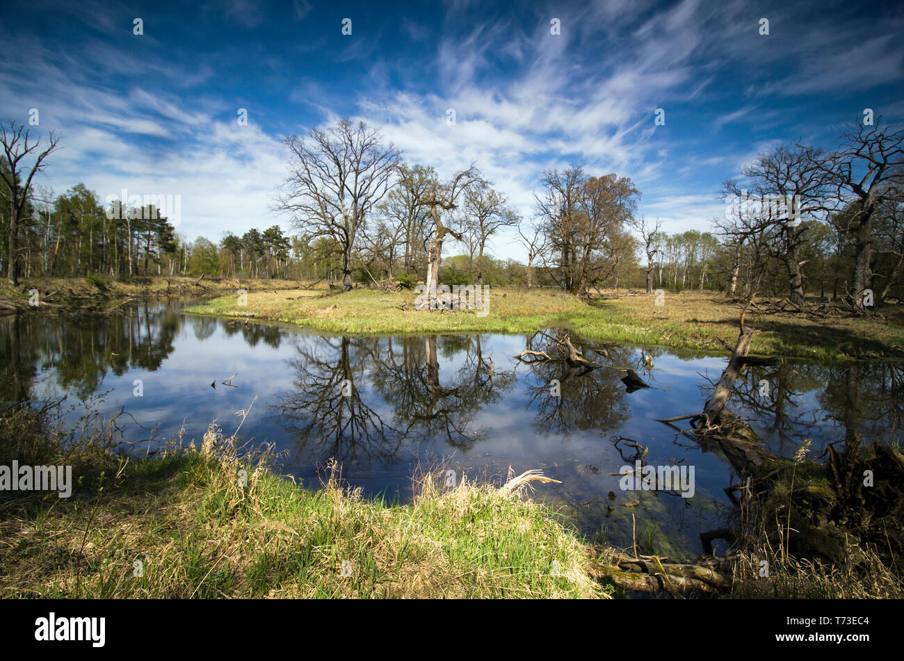 Der fluss warthe -Fotos und -Bildmaterial in hoher Auflösung – Alamy