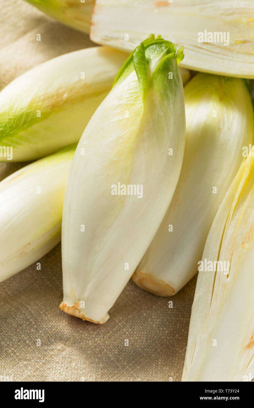 Belgische endivie -Fotos und -Bildmaterial in hoher Auflösung – Alamy