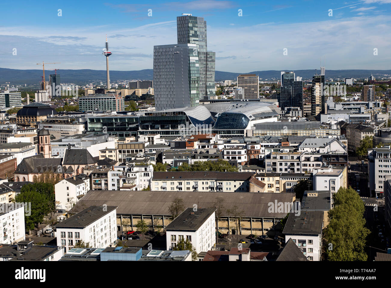 Nextower jumeirah hotel -Fotos und -Bildmaterial in hoher Auflösung – Alamy