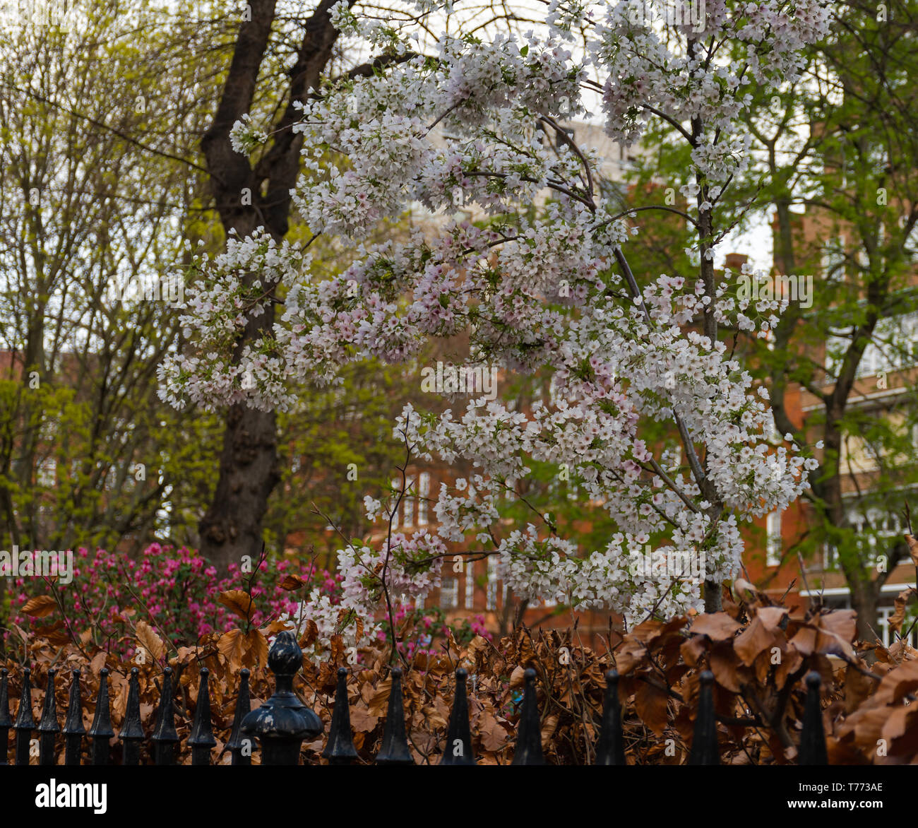 Queen square gardens london -Fotos und -Bildmaterial in hoher Auflösung ...