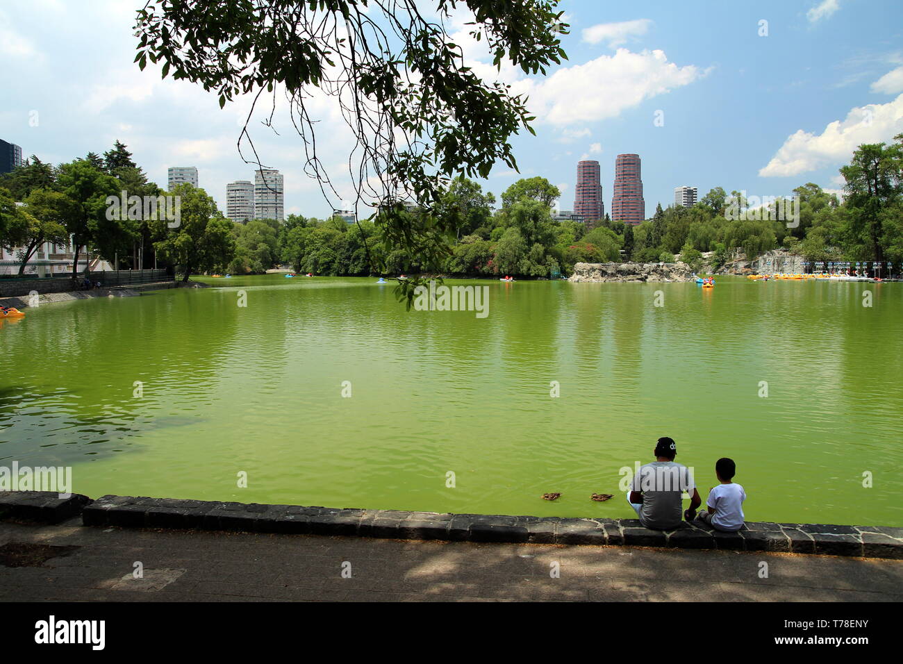 Lago de chapultepec -Fotos und -Bildmaterial in hoher Auflösung – Alamy