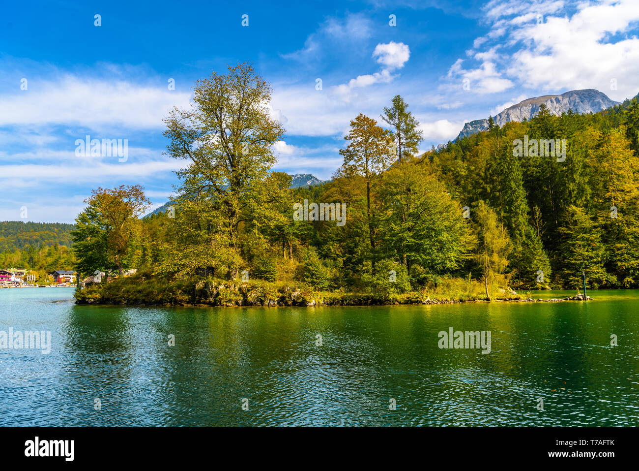 Kleine Insel mit Bäumen im See Königssee, Konigsee, Nationalpark ...