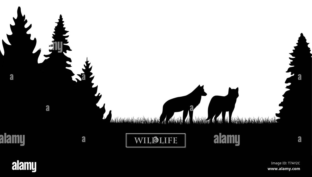 Zwei wildlife Wölfe Silhouette in den Wald auf der Wiese schwarz-weiß illustration Vektor EPS 10 ...