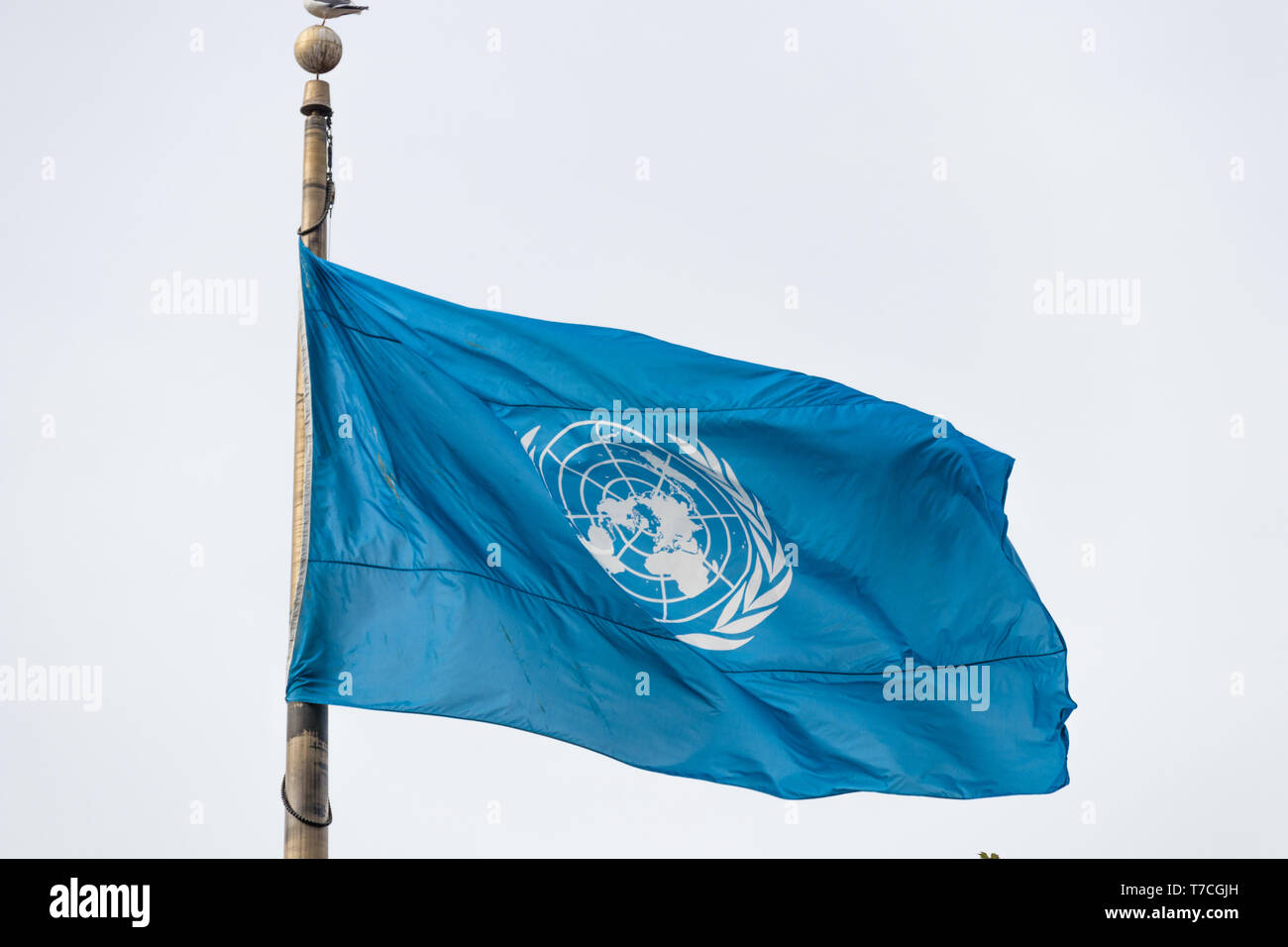 Fahnenschwingen der vereinten nationen -Fotos und -Bildmaterial in hoher Auflösung – Alamy