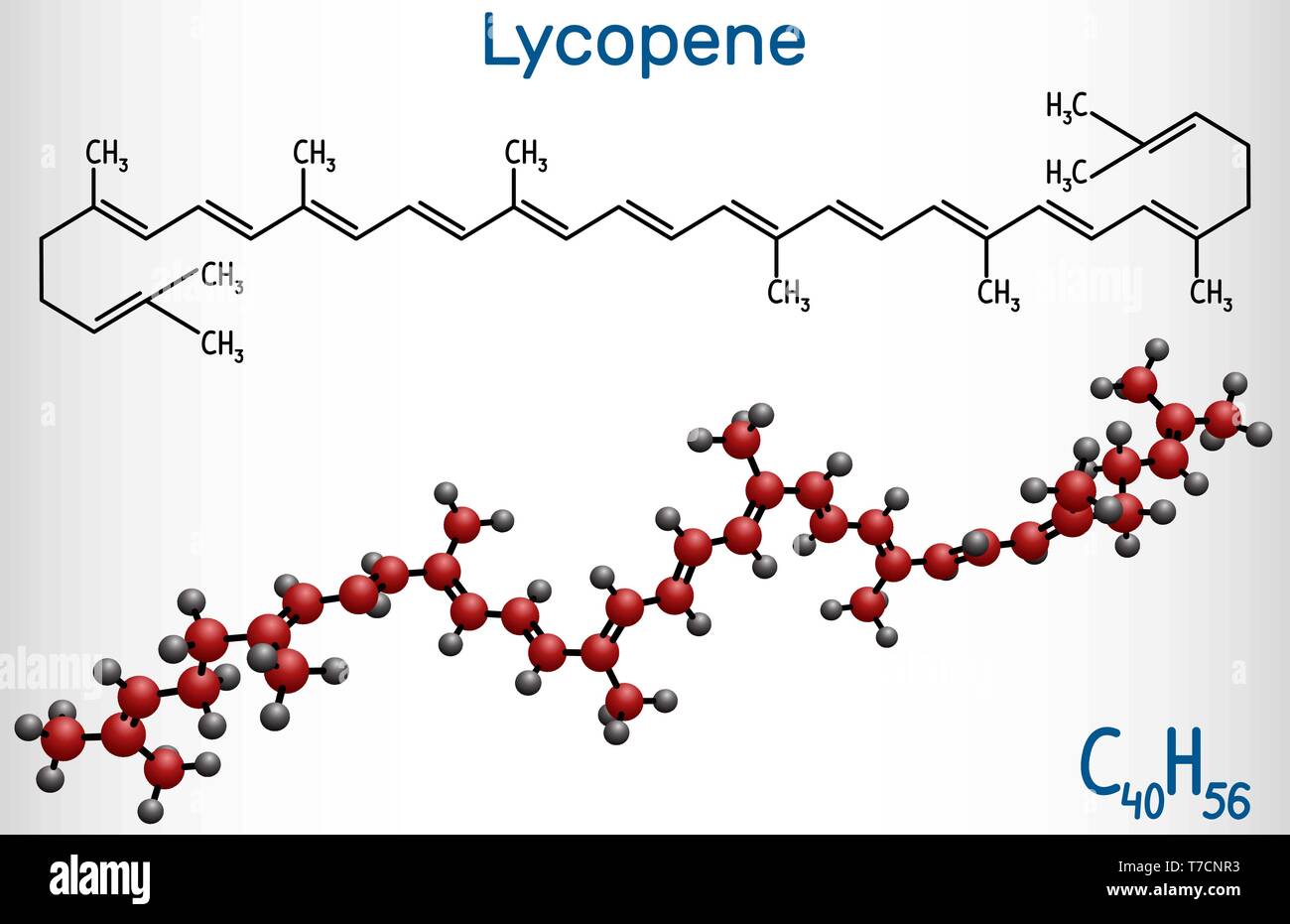 Lycopin Molekül. Strukturelle chemische Formel und Molekül-Modell ...