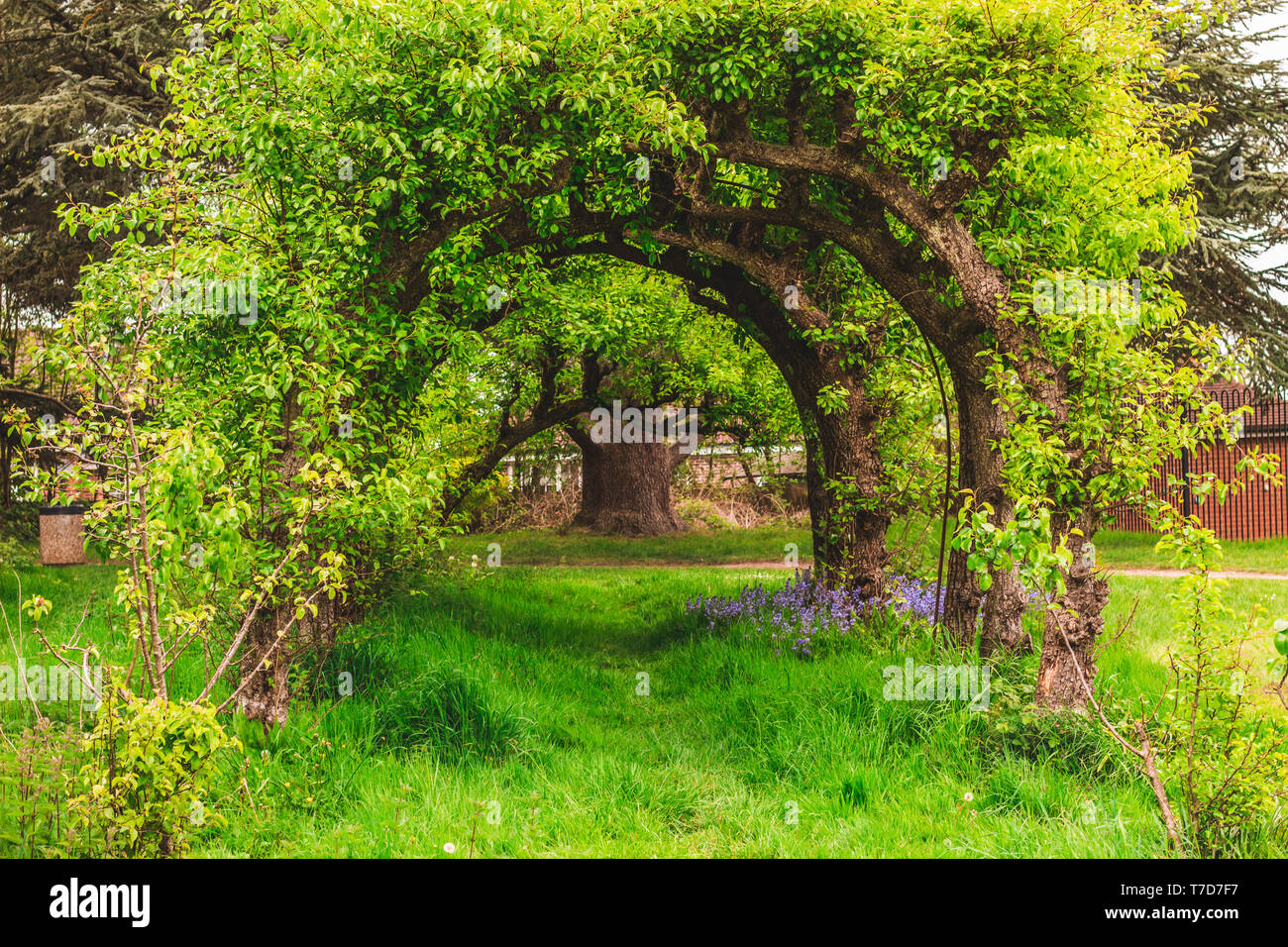 Niedriger torbogen -Fotos und -Bildmaterial in hoher Auflösung – Alamy