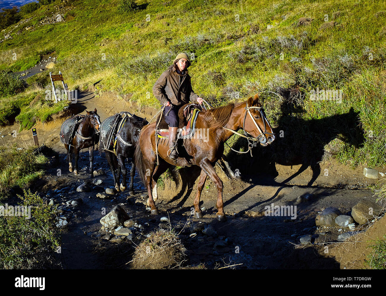 Gaucho chileno -Fotos und -Bildmaterial in hoher Auflösung – Alamy