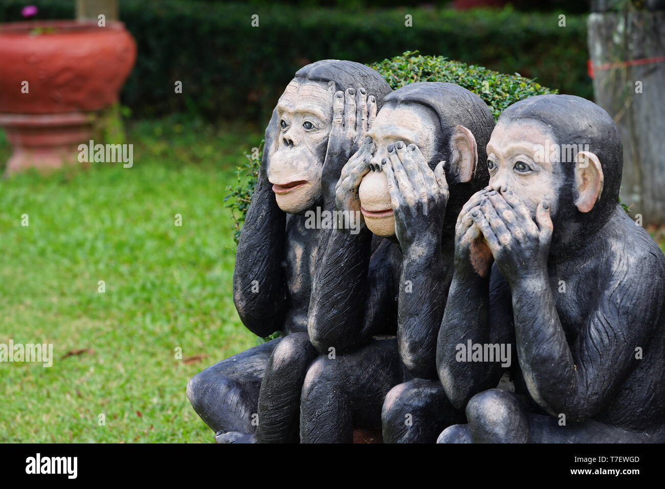 Schwarze Affen Stockfotos und -bilder Kaufen - Seite 2 - Alamy