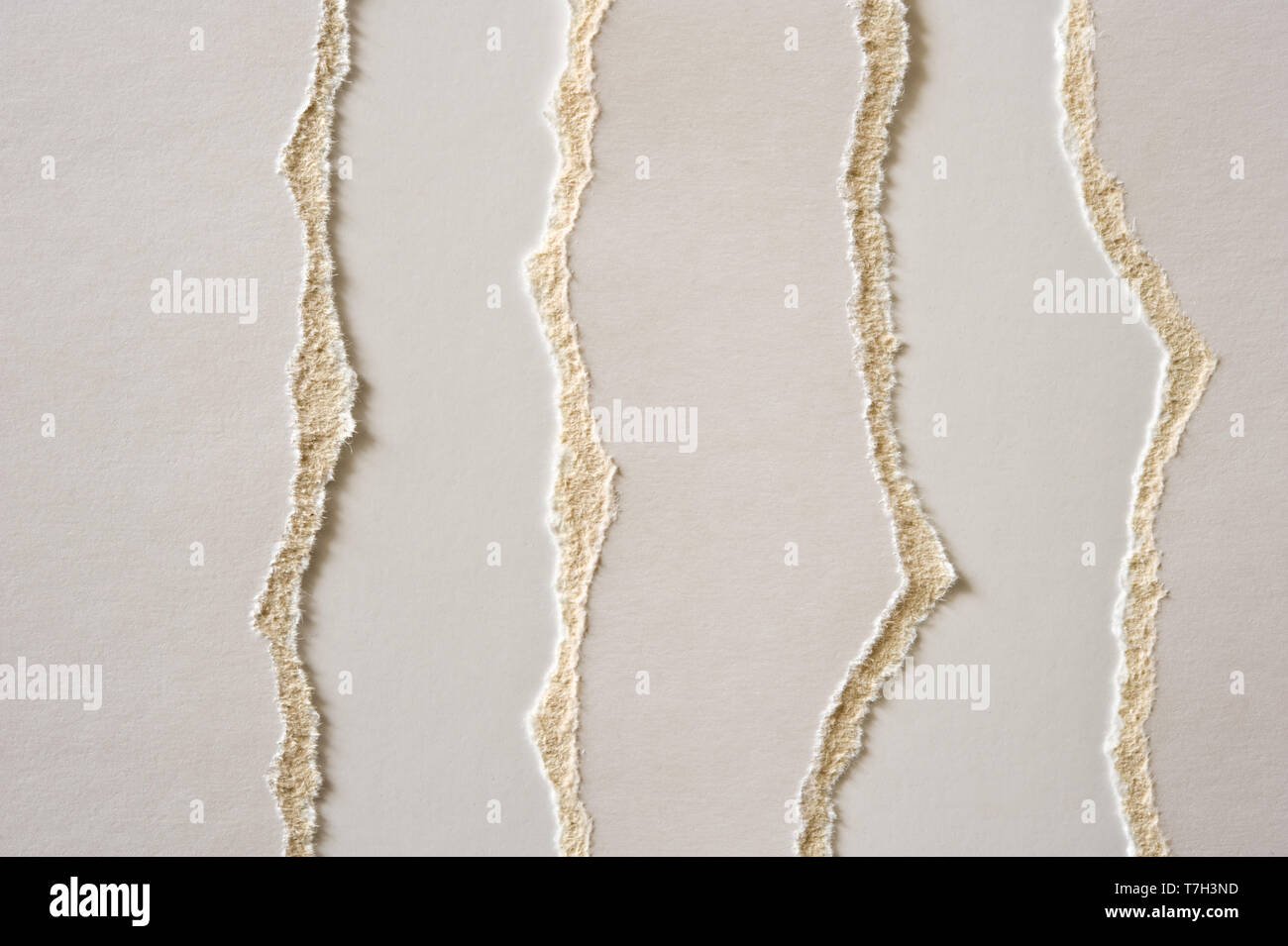 Zerrissener karton -Fotos und -Bildmaterial in hoher Auflösung – Alamy