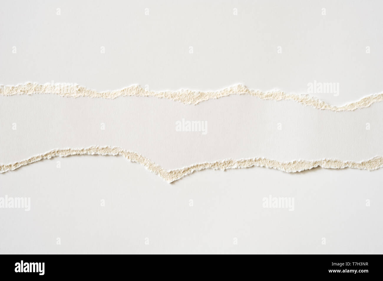 Zerrissener karton -Fotos und -Bildmaterial in hoher Auflösung – Alamy