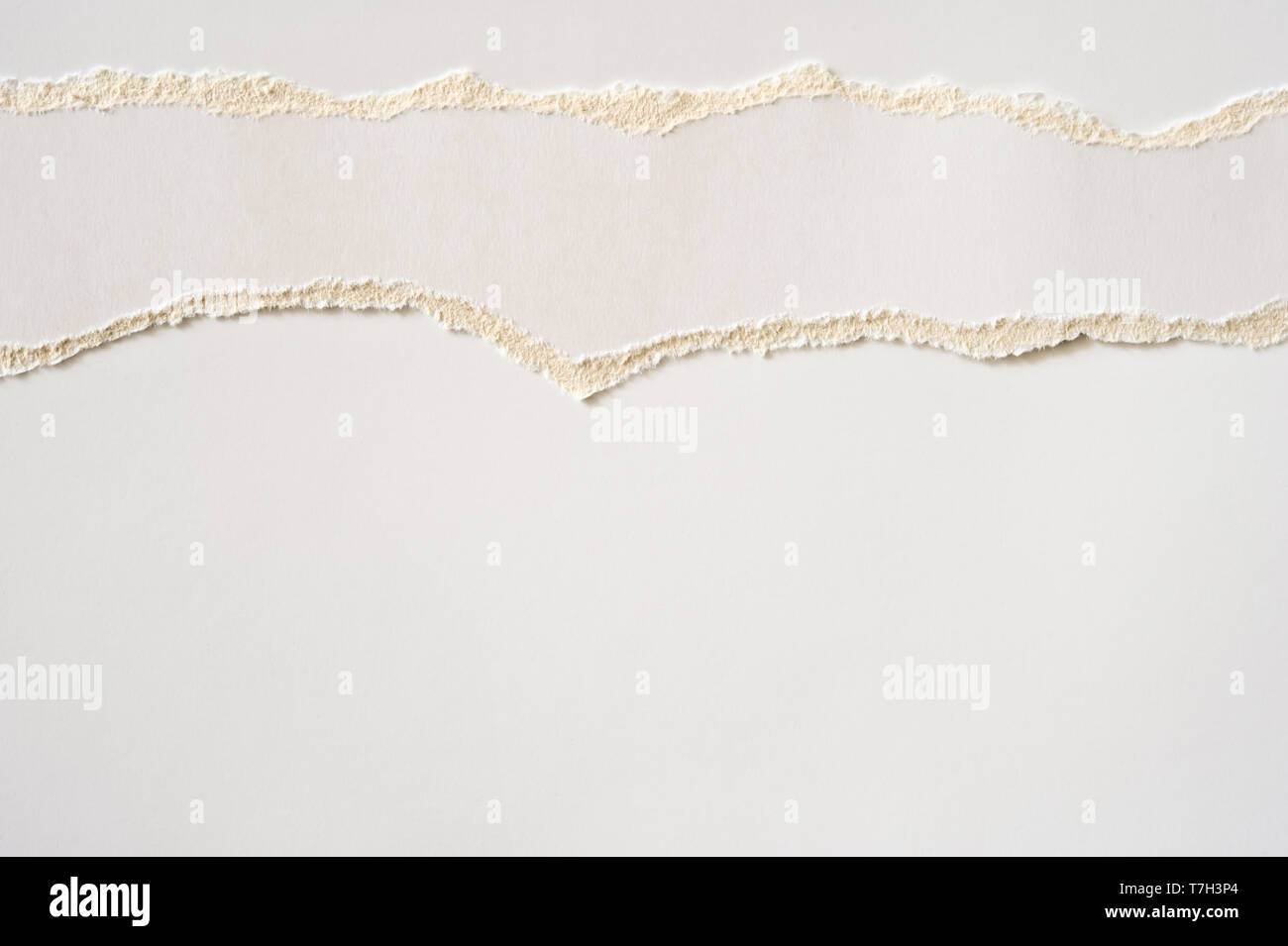 Zerrissener karton -Fotos und -Bildmaterial in hoher Auflösung – Alamy