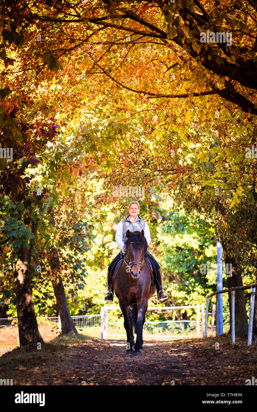 Rider horse riding autumn -Fotos und -Bildmaterial in hoher Auflösung ...