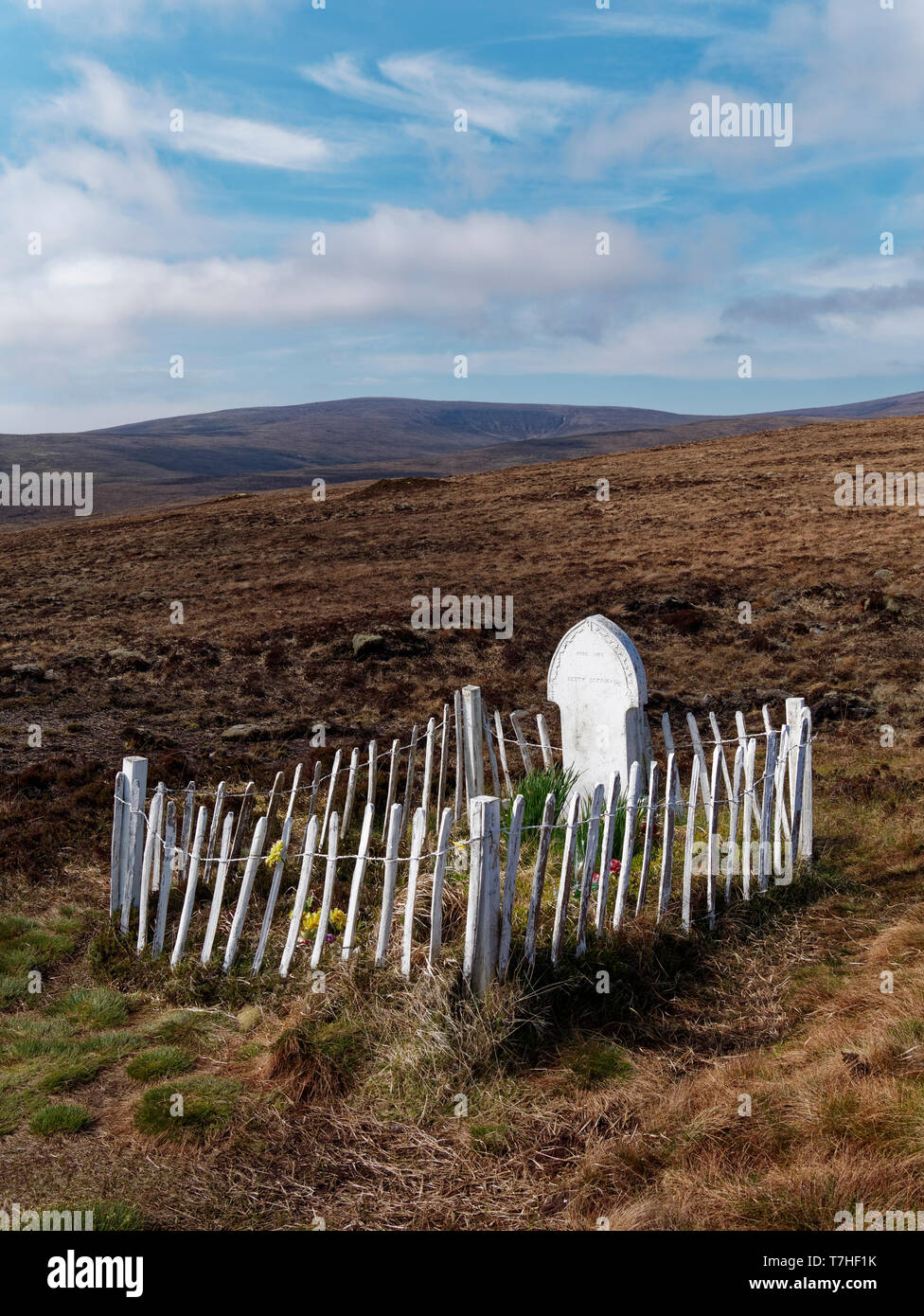Betty corrigall -Fotos und -Bildmaterial in hoher Auflösung – Alamy