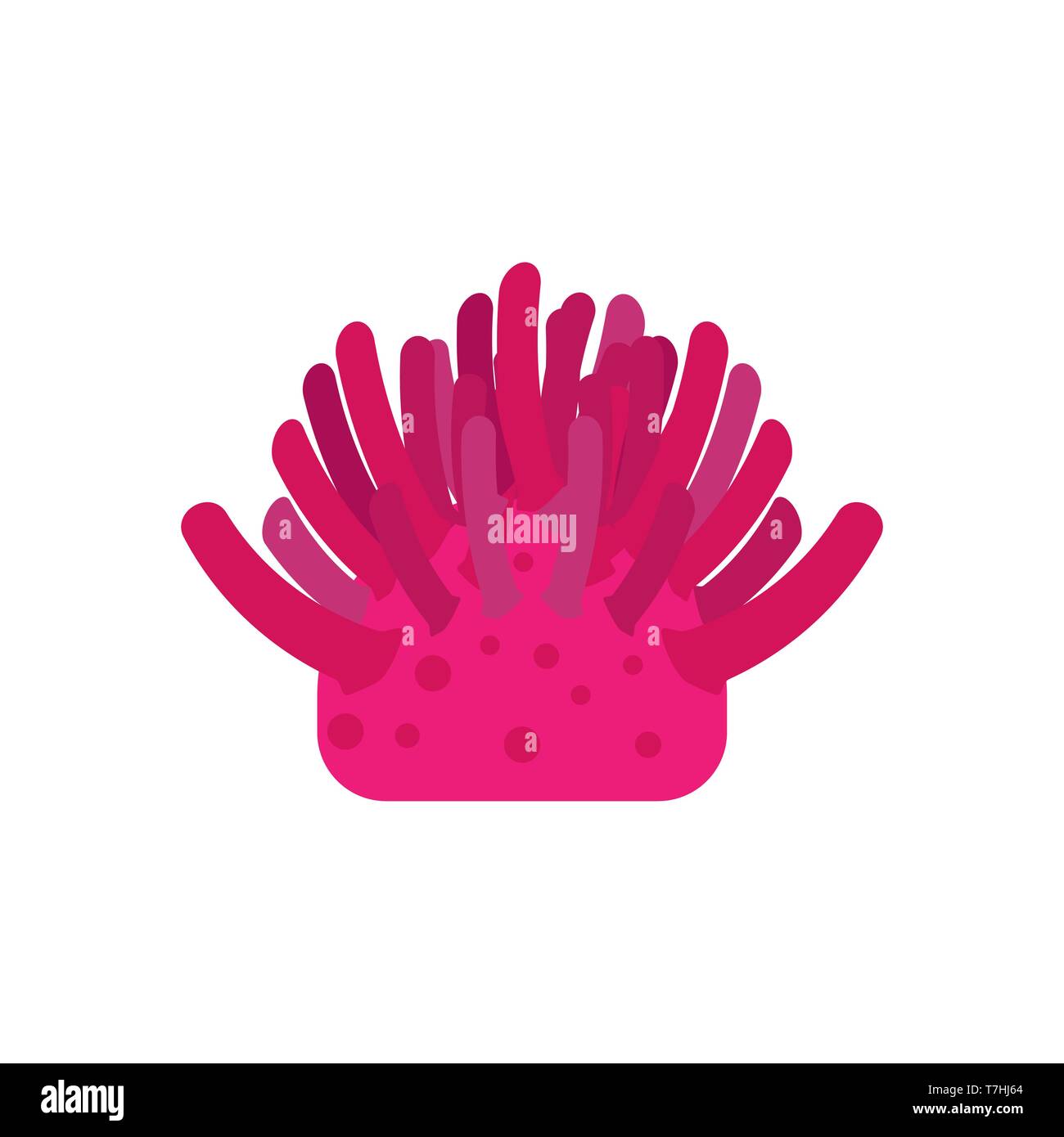 Seeigel Natur wildlife Design bunt Symbol Umwelt Vektor icon. Reef ...