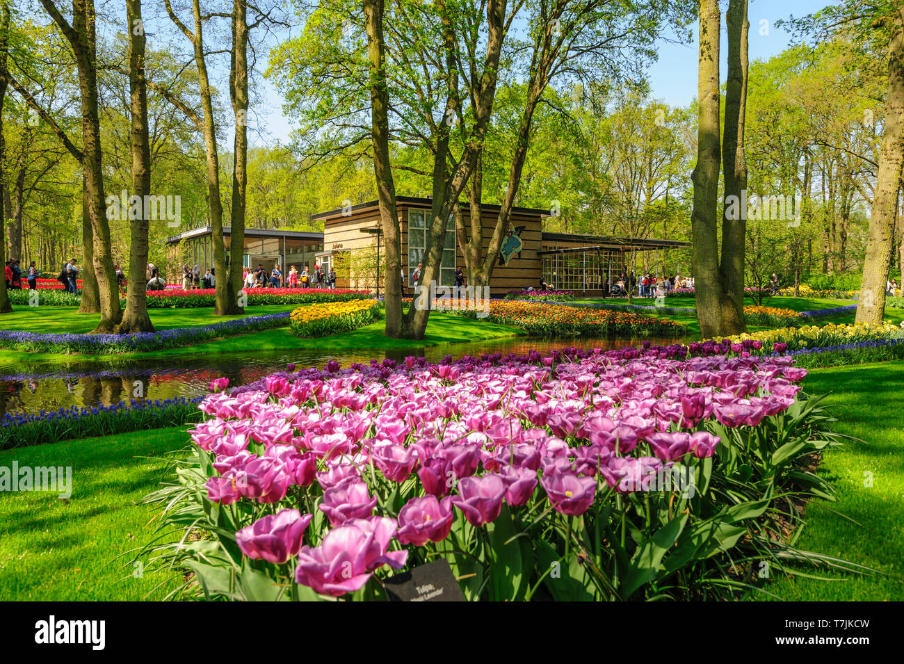 Blumenbeete In Holland