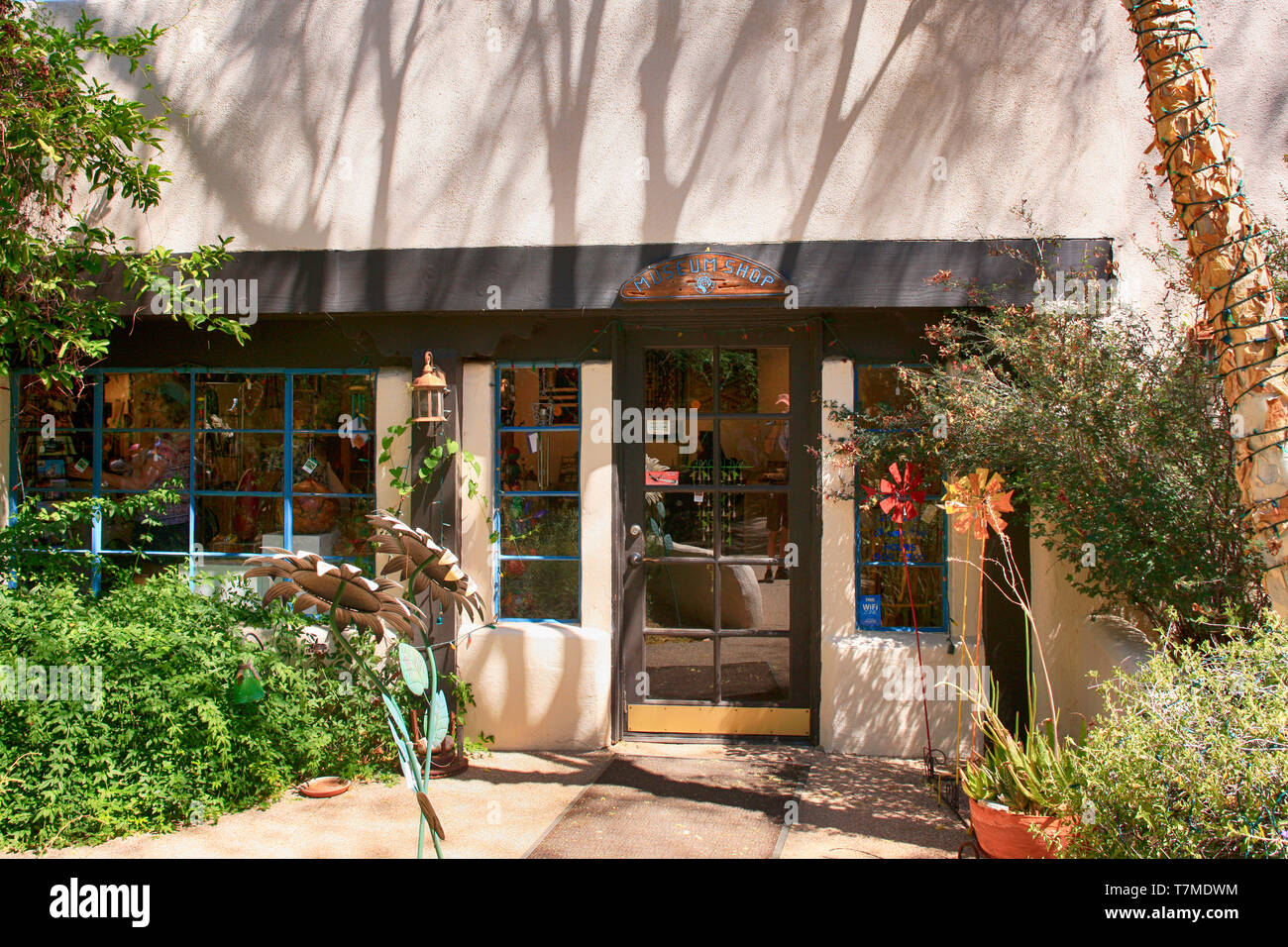 Tohono chul -Fotos und -Bildmaterial in hoher Auflösung – Alamy