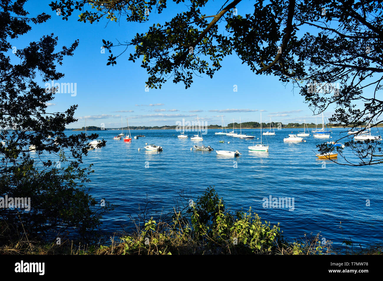 Frankreich, Morbihan, Golf von Morbihan, Regionaler Naturpark der Golf ...