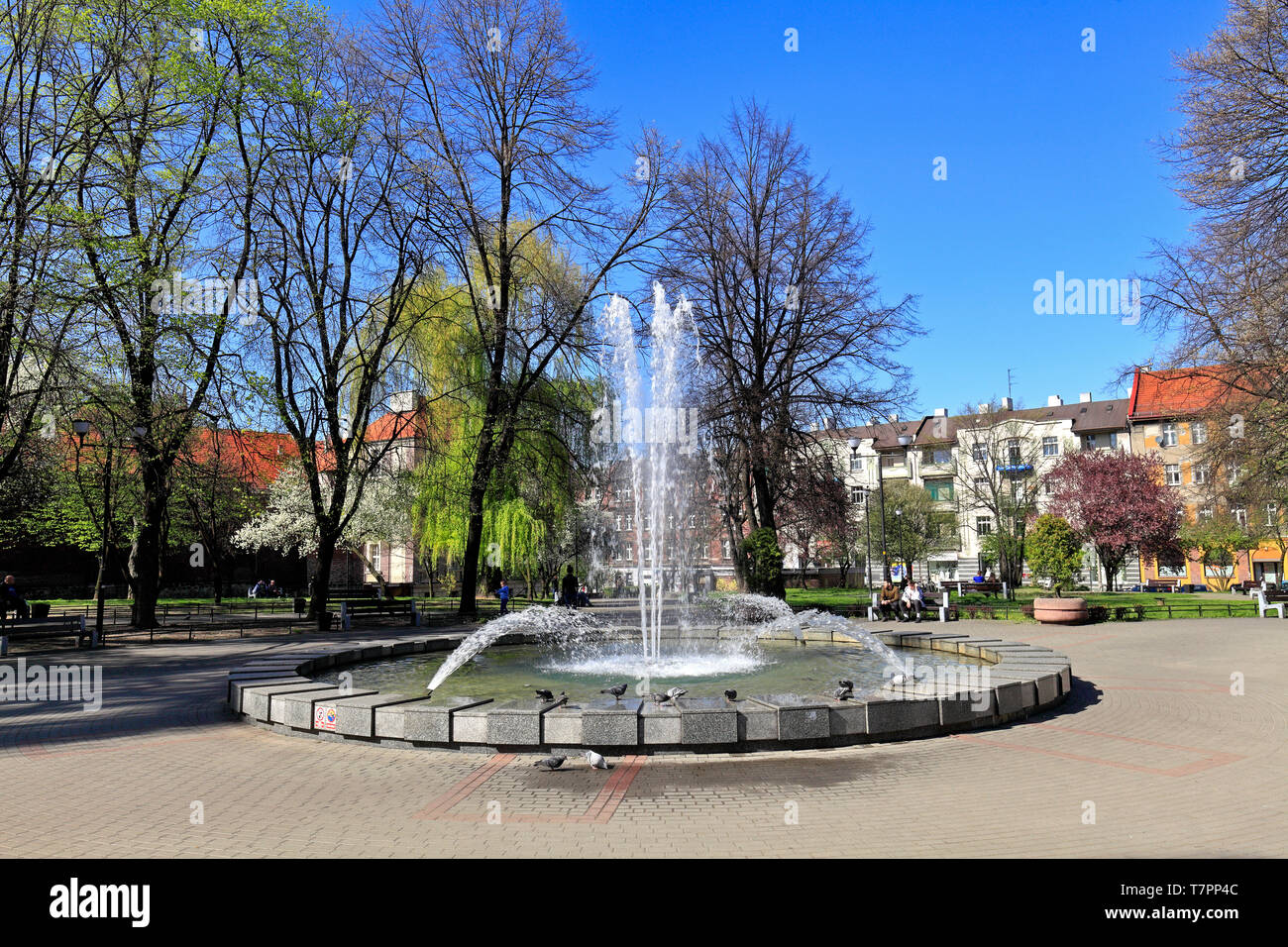 Plac andrzeja -Fotos und -Bildmaterial in hoher Auflösung – Alamy