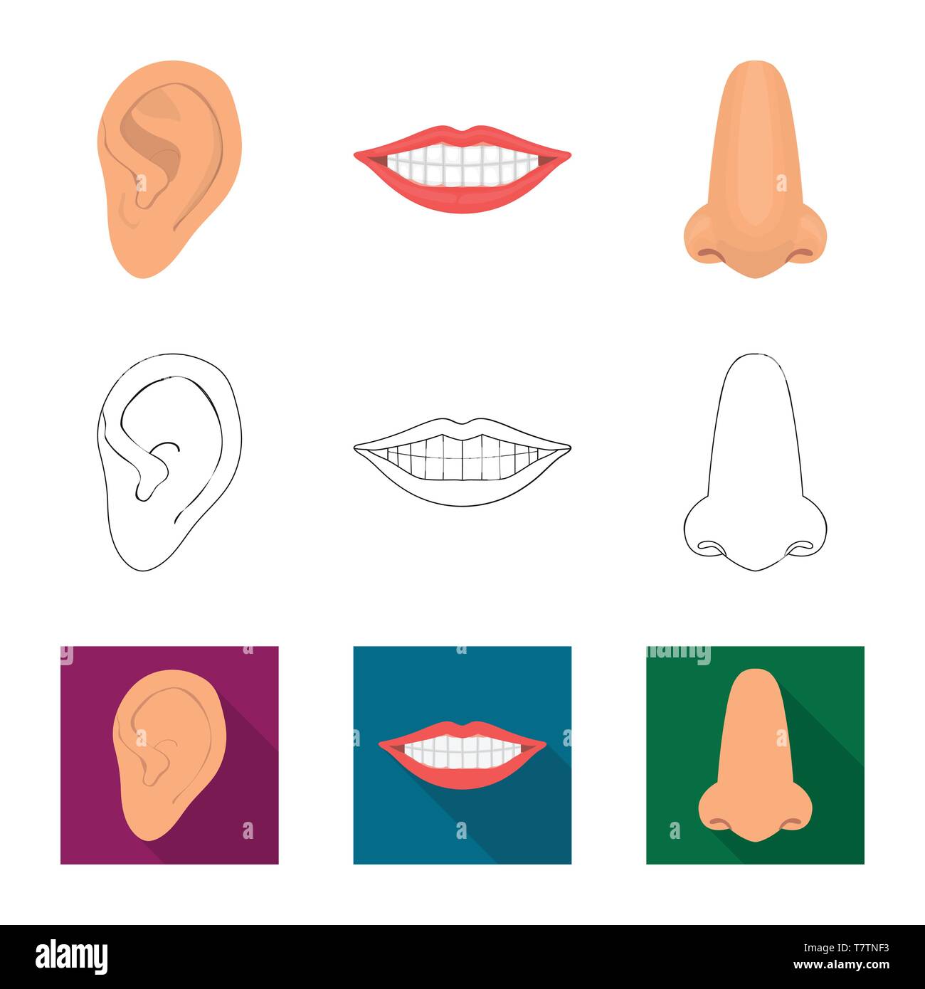 Vector Illustration von Körper und Symbol. Sammlung von Körper und ...