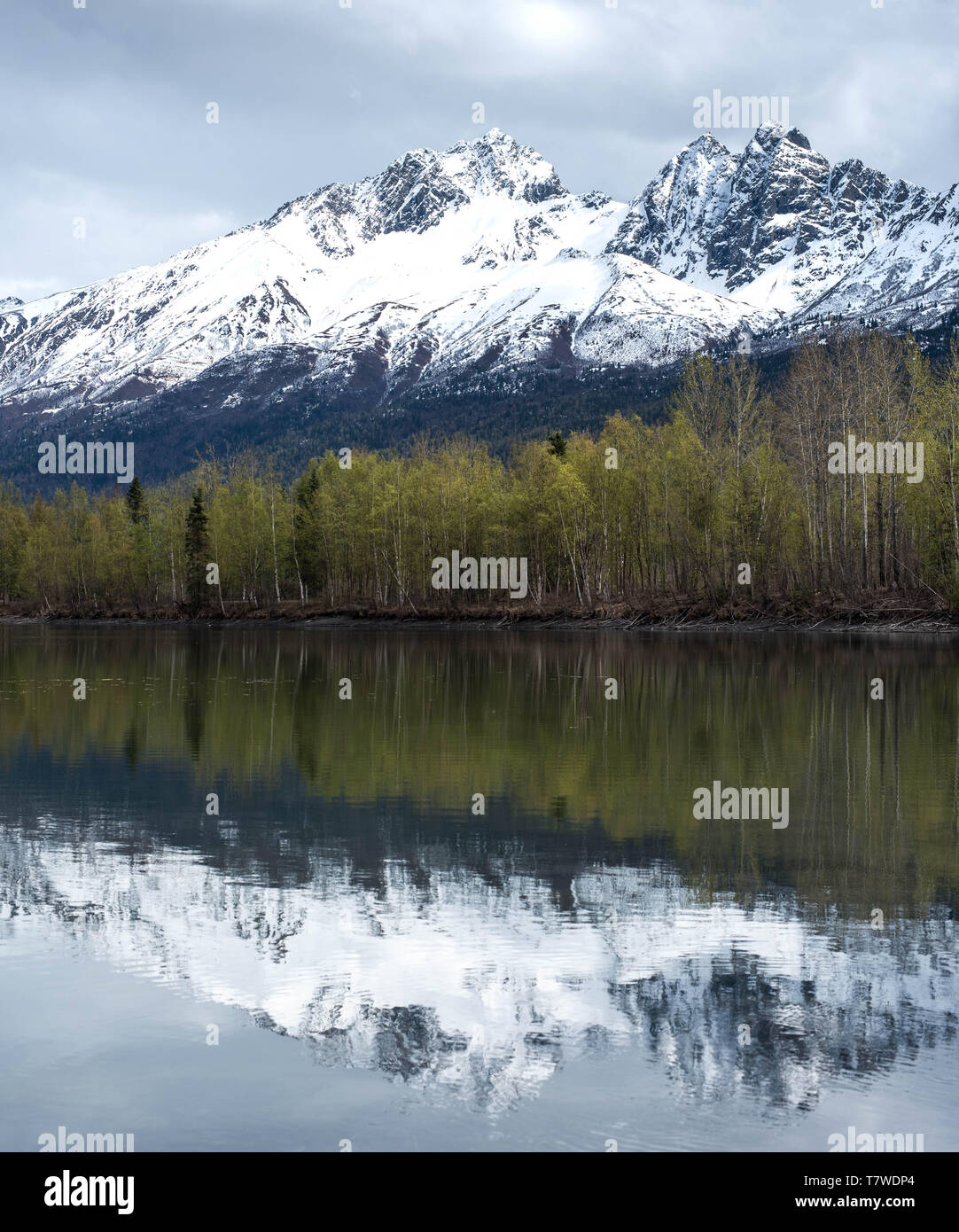 Urlaub in alaska bilder -Fotos und -Bildmaterial in hoher Auflösung – Alamy