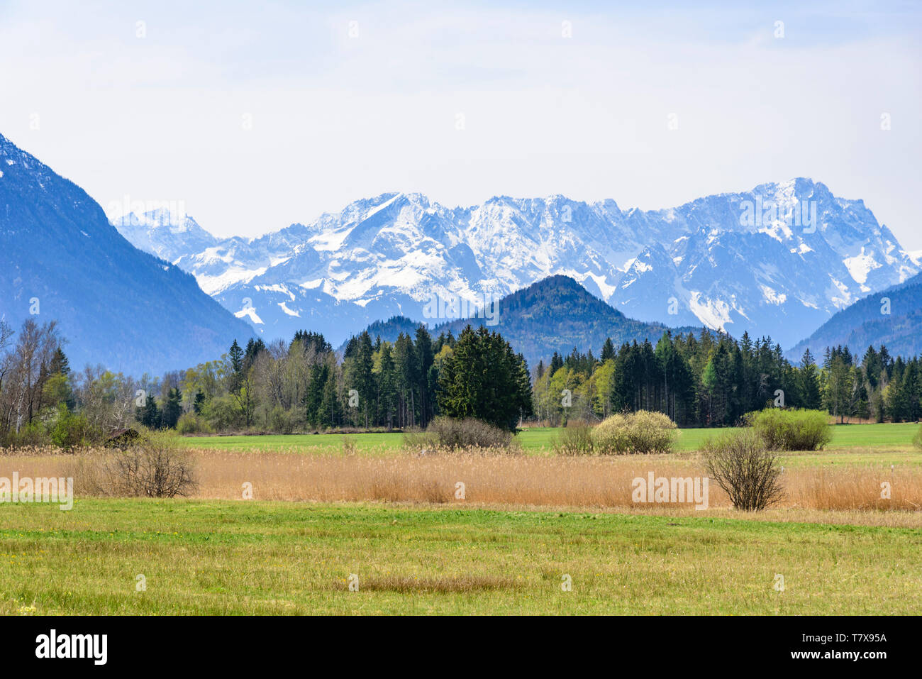 Murnauer moos mit blick auf die bayerischen alpen -Fotos und ...